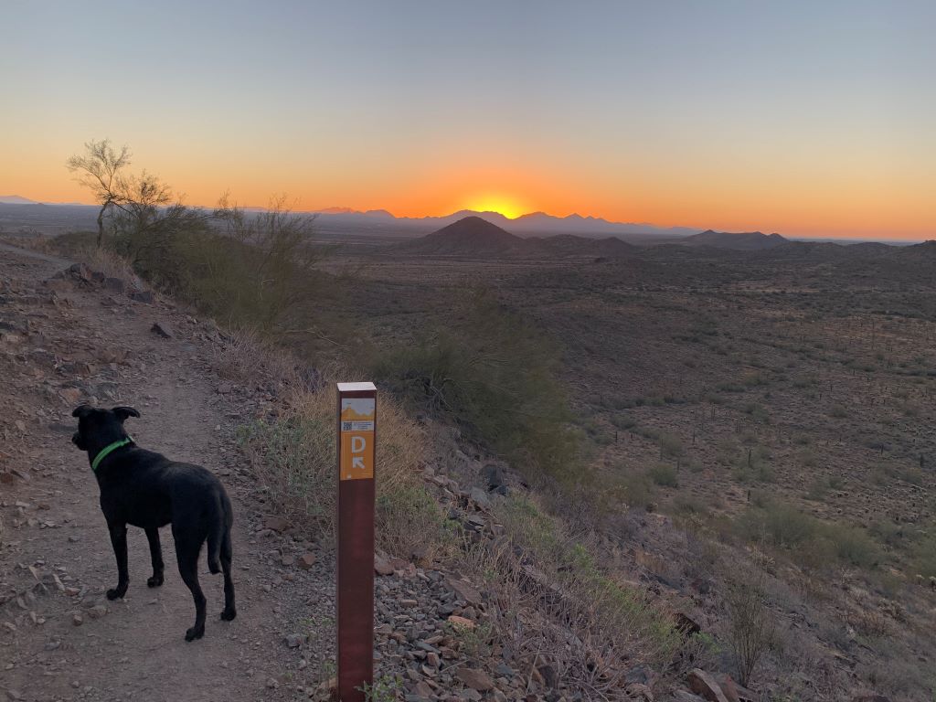 Day Hiking Dixie Mountain Loop: Tips and Directions